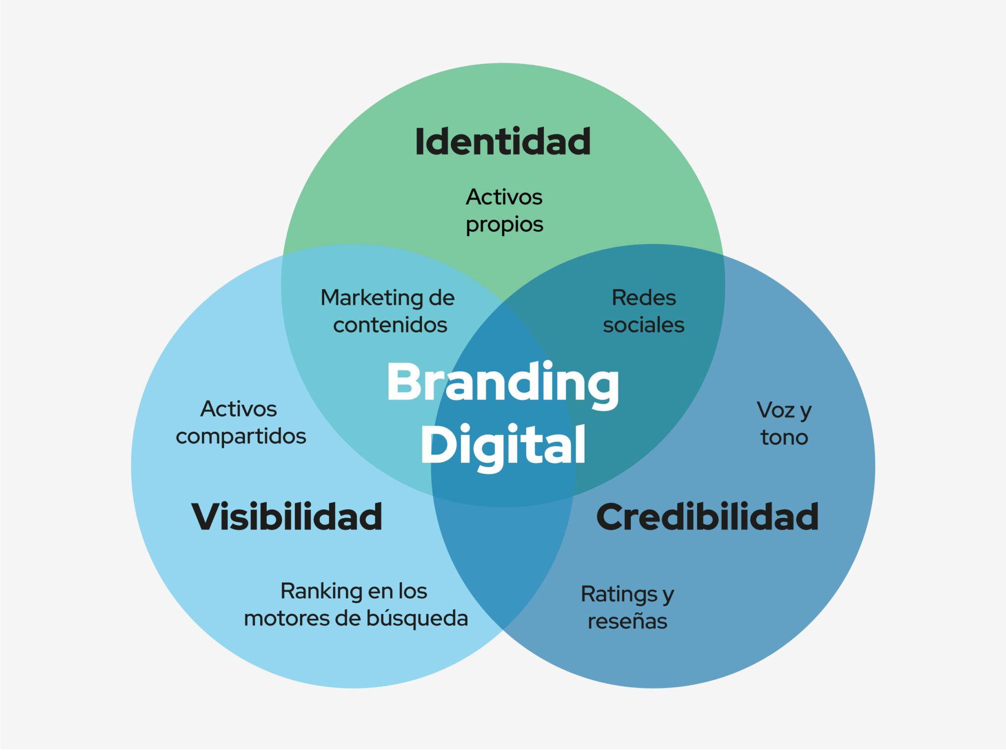 Estrategias de Branding Digital para tu Empresa – Seonet