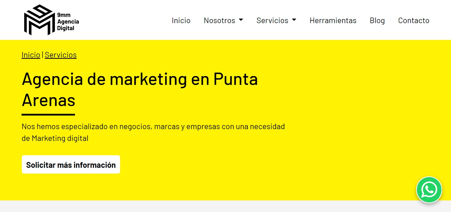 Top 7 de Agencias de Marketing Digital en Punta Arenas